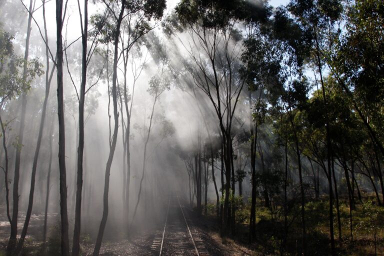 Center for Railroad Photography & Art – Publisher of Railroad Heritage ...